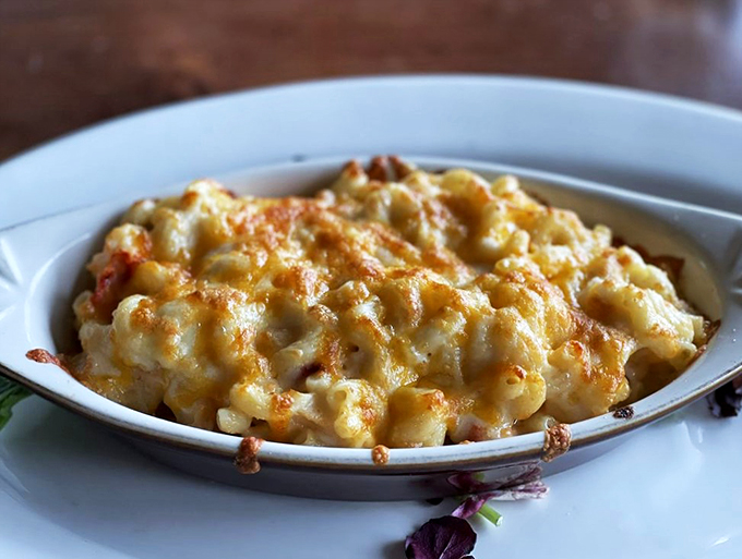 Golden-brown, bubbling perfection that would make your grandmother proud. Comfort food gets the Maine treatment.
