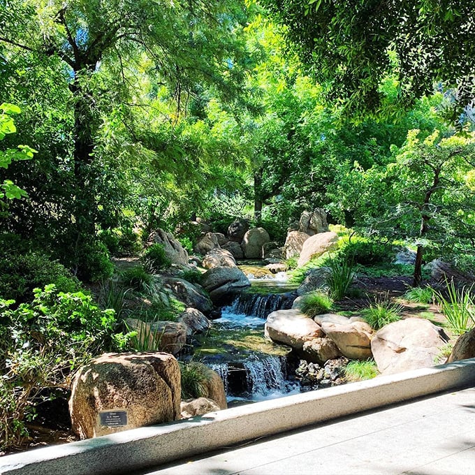 A mini waterfall with maximum charm. It's the garden's way of saying, 