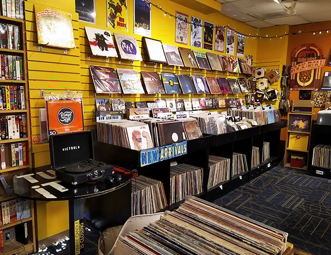 Crate diggers' delight! This corner of musical newbies and oldies is where hidden gems await discovery by eager fingers.