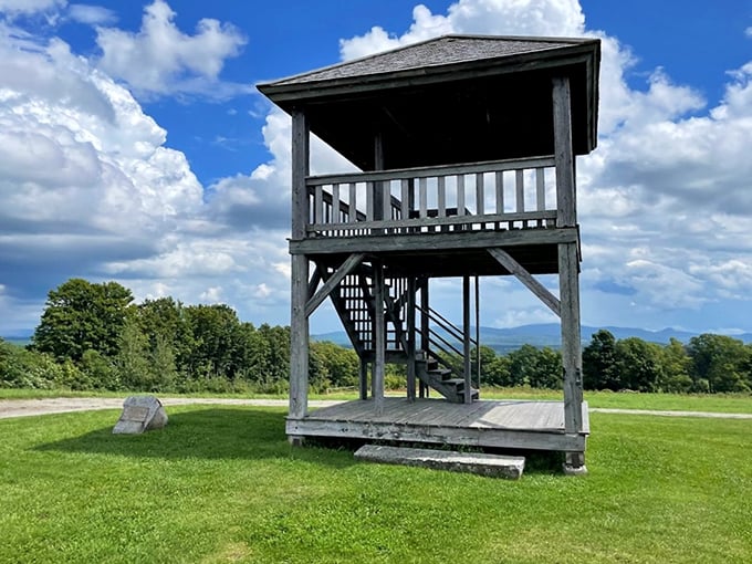This observation platform offers views that would make even the most jaded Instagram influencer put down their phone in awe.