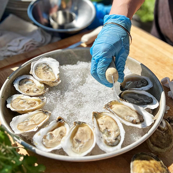 Fresh oysters presented with classic garnishes - nature's perfect appetizer, served with coastal elegance.