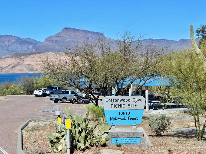 Picnic with a view? Check. Cactus for ambiance? Double-check. Welcome to Cottonwood Cove, where lunch comes with a side of spectacular. Photo credit: Campfiver