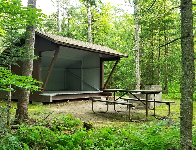 A lean-to with a view! This simple shelter offers front-row seats to nature's grand performance. No ticket required, just bring your sense of wonder.