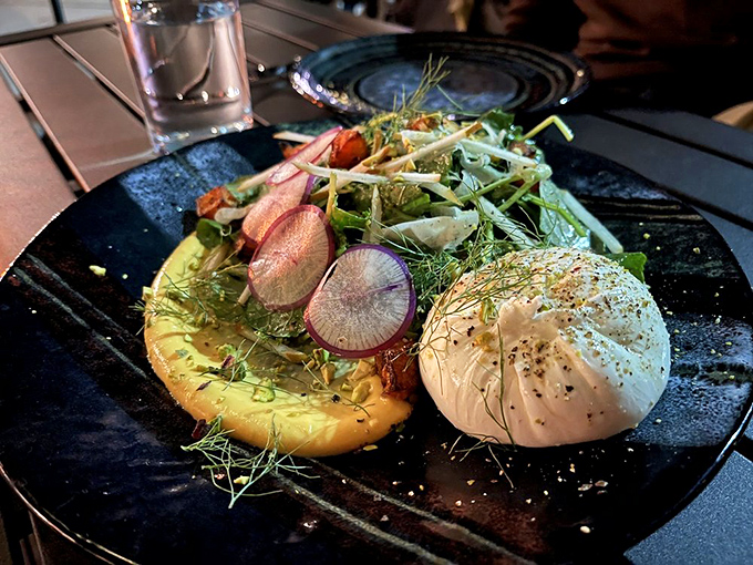 A burrata that's living its best life, surrounded by colorful radishes and fresh greens on a striking black plate.