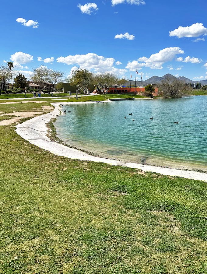 Palm trees and desert landscaping frame the perfect picnic spot, where families gather to enjoy Arizona's natural beauty.