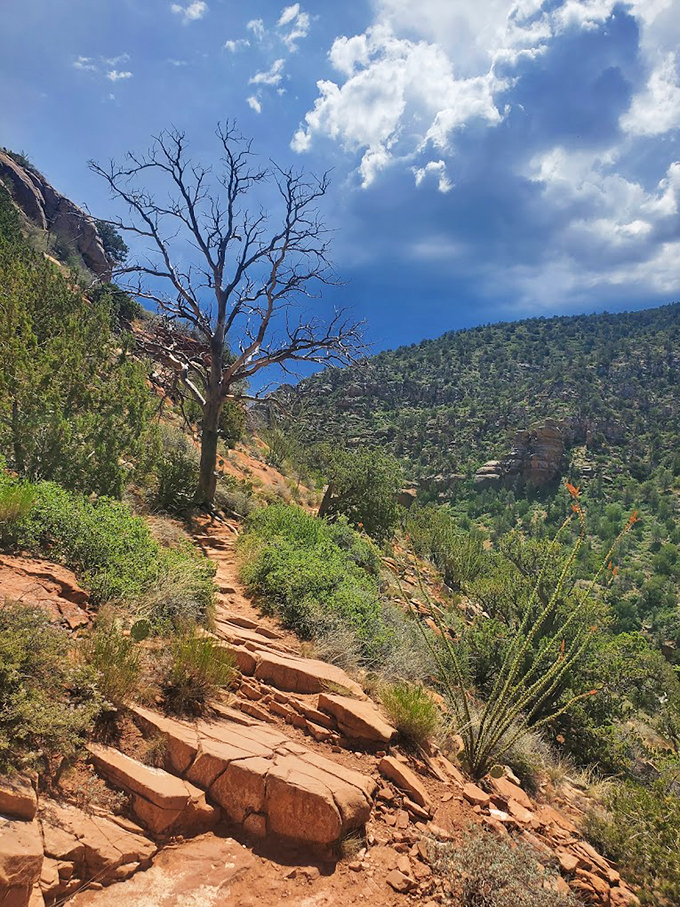 Towering cliffs paint the sky in shades of vermillion, while desert flora adds splashes of green to nature's canvas.