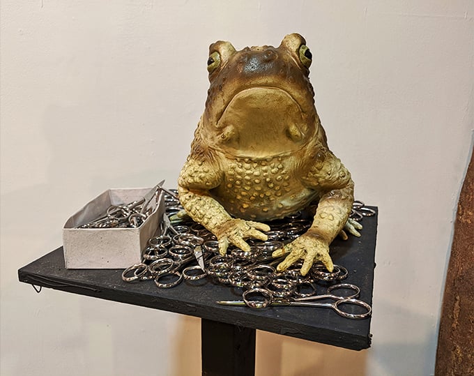 This frog prince seems to have kissed a few too many princesses. Talk about getting toad-ally carried away!