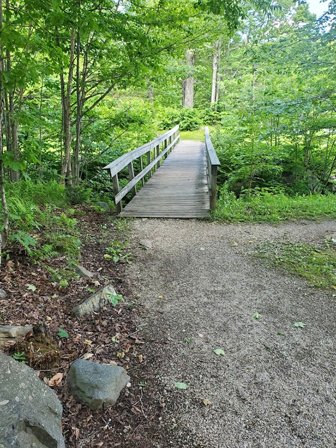 This well-maintained trail beckons like a friend saying "Come on over!" through Vermont's green summer canopy.