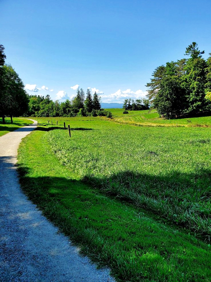 A path to pastoral perfection! This trail leads to views so stunning, you'll forget you're not in a Bob Ross painting.