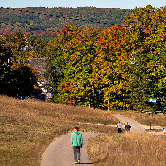 Winding trails beckon through a golden forest. It's like Mother Nature rolled out her own yellow brick road, minus the Munchkins.