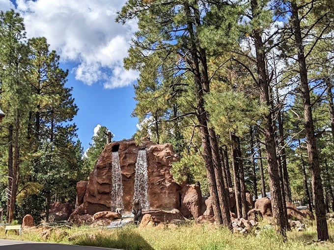 Nature's cathedral: Ponderosa pines stand tall, creating a majestic backdrop for Bearizona's animal residents.