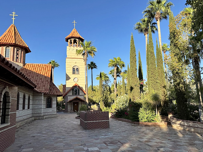 Where saguaro and cypress trees mingle, creating a botanical United Nations of desert and Mediterranean flora.
