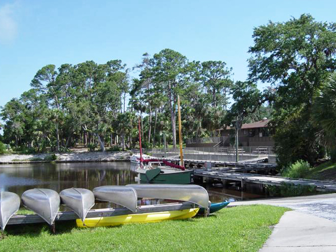 Where land embraces sea: Tomoka's shoreline is nature's front row seat to an ever-changing aquatic spectacle. Popcorn not included!