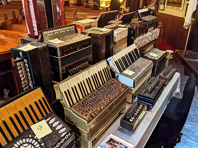 Antique accordions, lined up like soldiers ready for musical battle. Each one a testament to the enduring appeal of this quirky instrument.