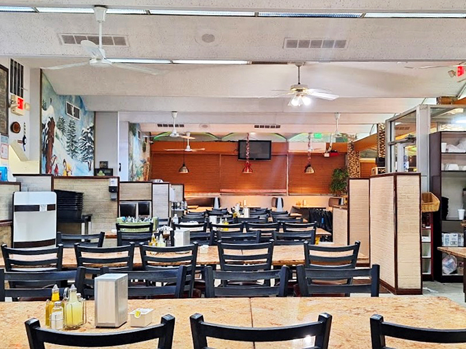 Welcome to the heart of Cedarland, where every table tells a story and every chair invites you to stay "just five more minutes."