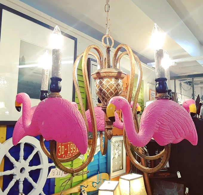 Who lit the flamingos? This funky chandelier proves that even in interior design, birds of a feather flock together &ndash; fabulously!
