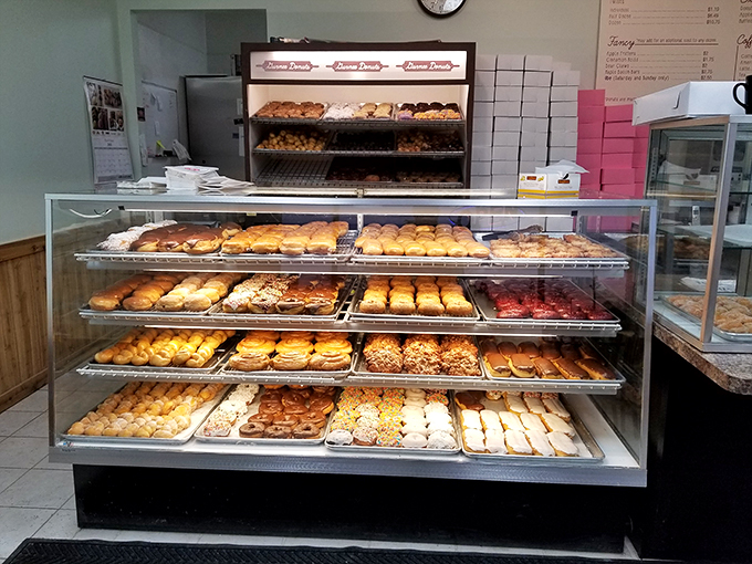 Donut heaven, aisle 1! This display case is a treasure trove of fried, glazed, and sprinkled happiness.