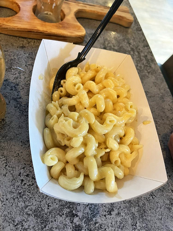 Mac and cheese so creamy, it could make a dairy farmer blush. It's comfort food that gives you a warm, cheesy hug from the inside.