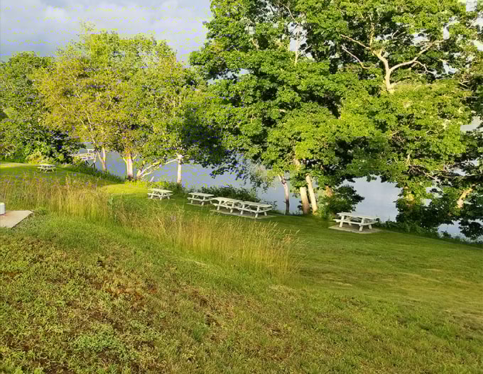 Picnic perfection! These tables are ready for your lobster rolls, or whatever non-seafood heresy you've packed.