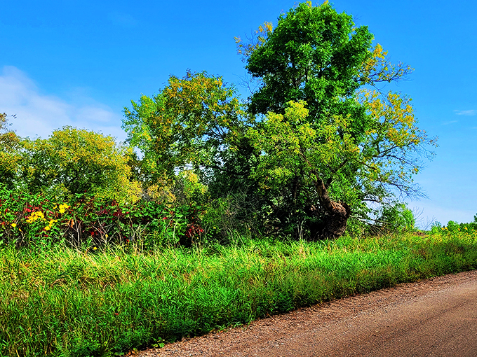 Maplewood State Park showcases autumn's palette, proving why "fall" rhymes with "y'all come."