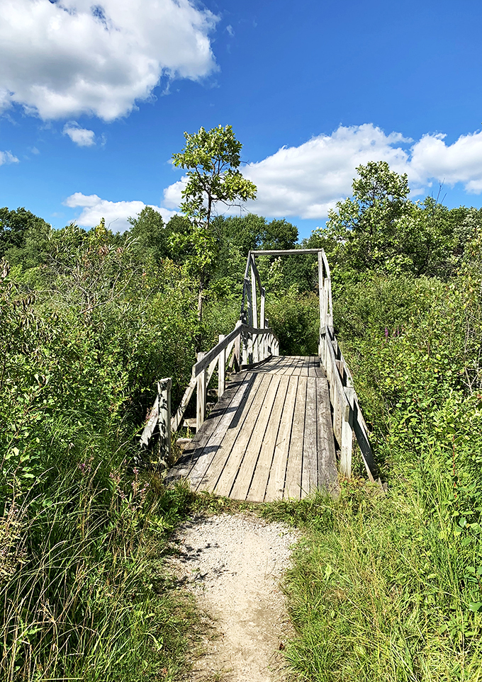Trail mix! Bald Mountain's paths offer a perfect blend of challenge and charm, with a dash of 'Are we there yet?'