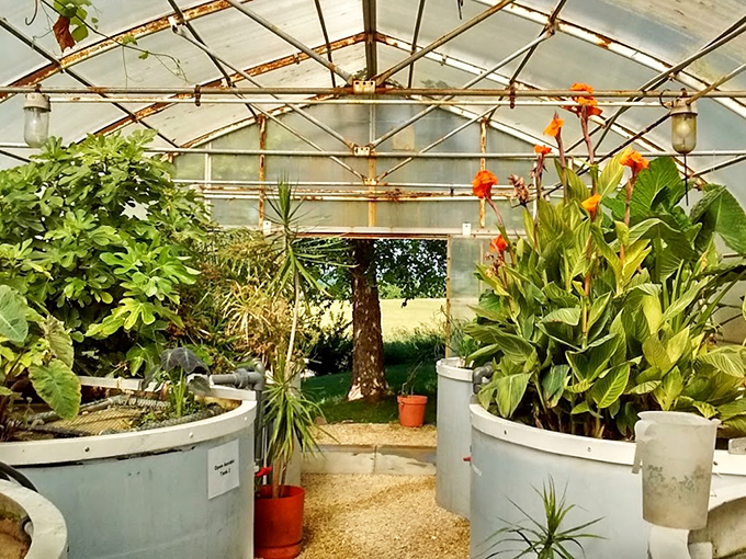 Urban cheese dreams come true! This city-based creamery proves that great dairy doesn't need rolling hills to thrive.