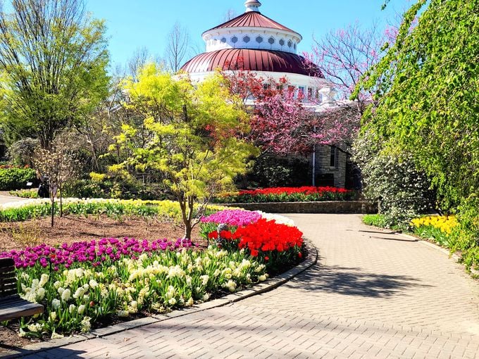 Lions and tigers and... begonias? Oh my! Where the animal kingdom meets the plant queendom.
