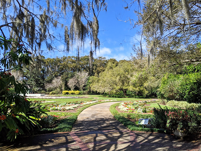 Garden path or yellow brick road? Either way, it's leading to some serious flower power.