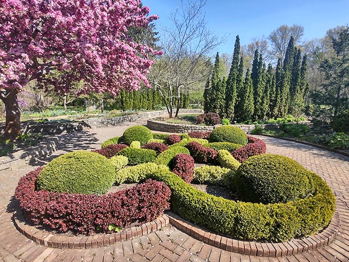 From fairies to herbs, it's a garden for every mood. Perfect for serious horticulturists or those who occasionally remember to water their cactus.