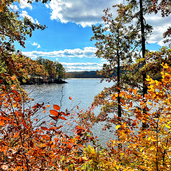 Autumn's canvas! Lake Hope erupts in a riot of fall colors, reflecting nature's most vibrant season.