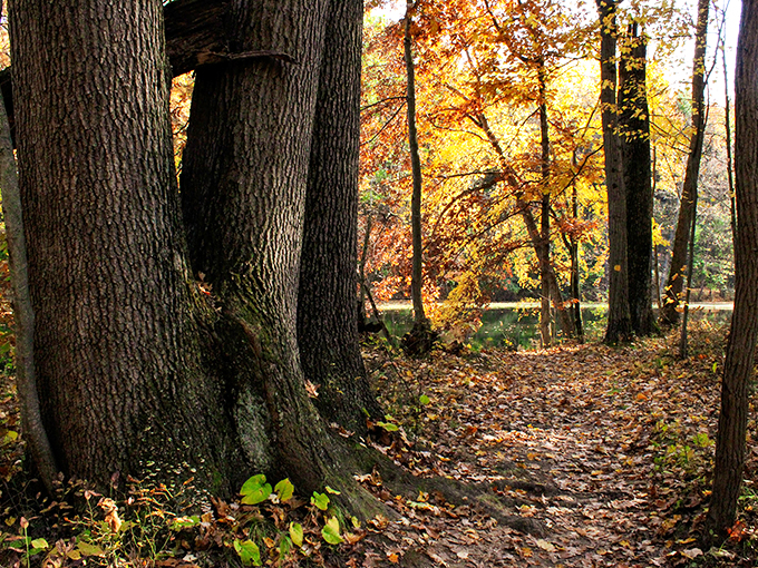 Nature's mood ring, constantly changing colors. It's like four parks for the price of one!