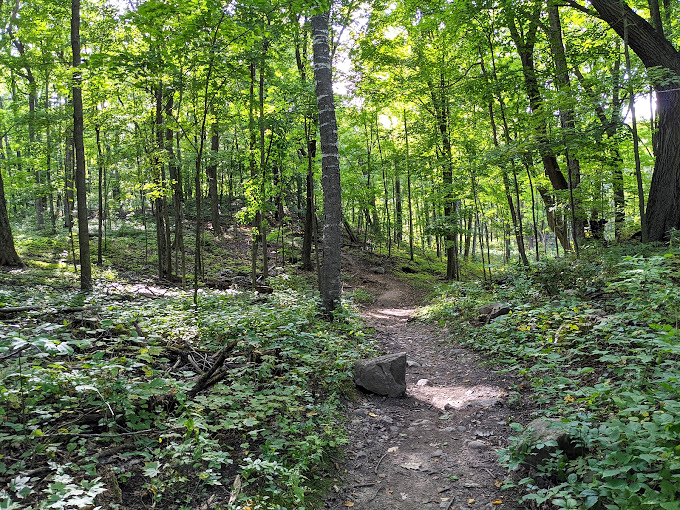 Peek-a-boo, I see you! Parnell Tower plays hide-and-seek with the landscape, revealing breathtaking vistas at every turn.