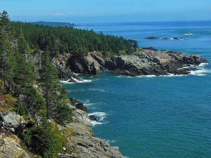 Quoddy Head's rugged coastline: Where Maine puts its best rocky face forward. The East Coast's final frontier!