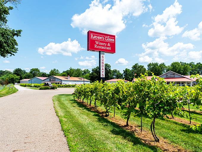 Raven's Glenn: Where the wine flows and the good times grow. River views included at no extra charge!