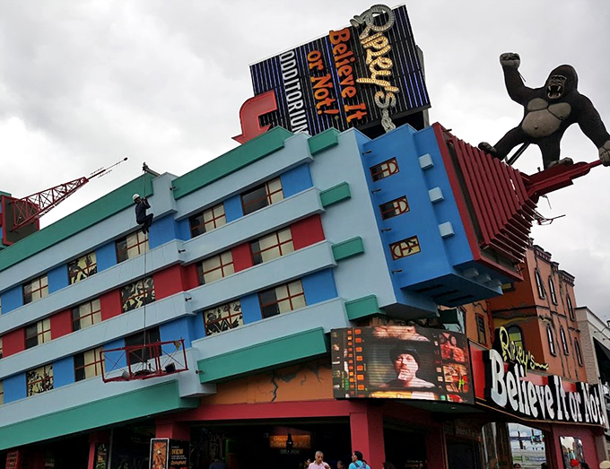 Step right up to the carnival of curiosities! Where the weird get their pro cards and normalcy checks out.