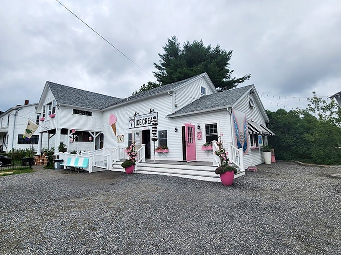 Scoop Deck: Where ice cream meets coastal charm. It's like a lighthouse, but it guides you to flavors, not ships!