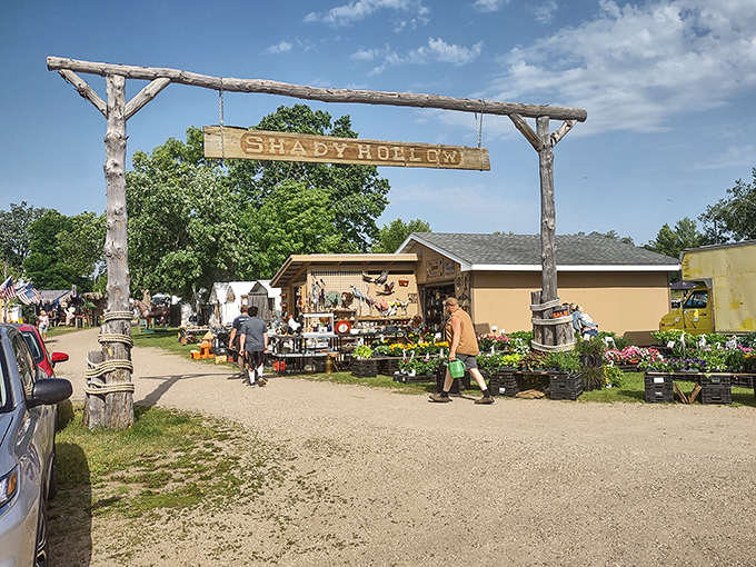 Under the trees and over the moon! Shady Hollow is where outdoor shopping meets treasure hunting – sunscreen and haggling skills required. Photo credit: Joe Langowski