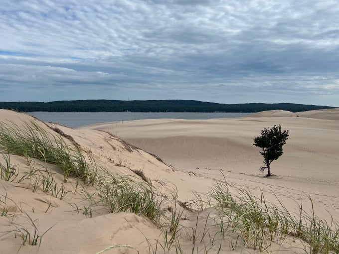 Silver Lake Sand Dunes: Michigan's answer to Lawrence of Arabia! Just swap the camels for dune buggies. Photo credit: Lois Stogdill