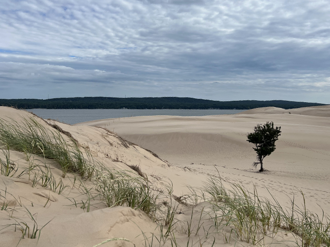 Silver Lake Sand Dunes: Sahara meets Great Lakes! A golden playground where dune buggies are the camels of choice.