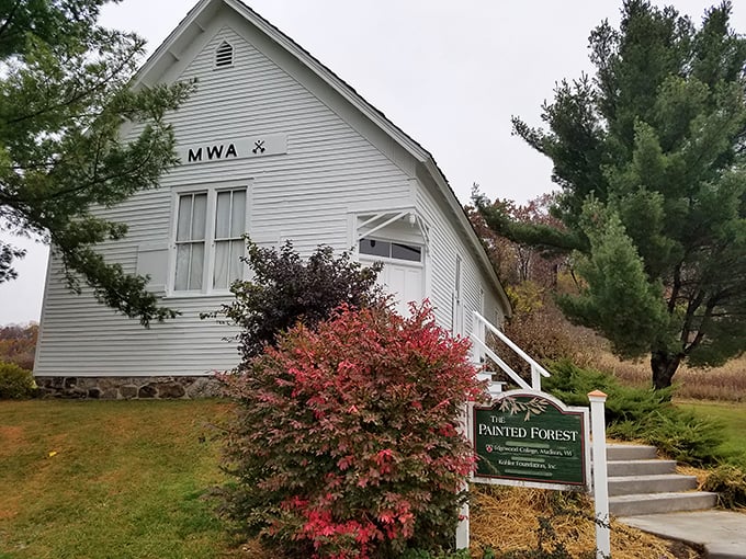 Where nightmares go for a spa day. The Painted Forest turns Odd Fellows' secrets into a psychedelic storybook.