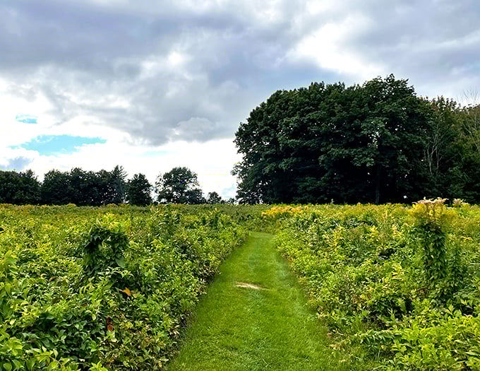 Thorncrag Bird Sanctuary: Five-star resort for feathered jet-setters. All-you-can-eat bug buffet included, but don't expect turn-down service from the residents.