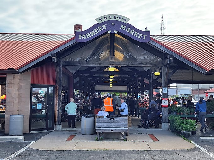 Old-school cool since 1832! Toledo Farmers' Market proves that sometimes, the simplest pleasures are the sweetest (and crunchiest).