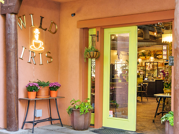 Wild Iris: Prescott's coziest corner. Step through the lime-green door into a world of homemade comfort and aromatic bliss.