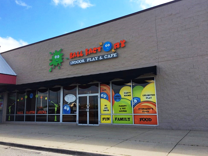 Slide into fun at the Ball Factory, where "climbing the corporate ladder" means conquering the tallest play structure.