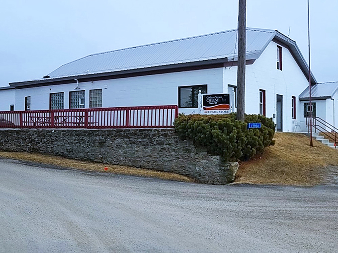 Time for cheese! This clever creamery brings farm-fresh flavors to the heart of the city, one wheel at a time.