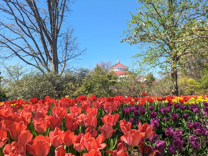 Noah's Ark with landscaping! A menagerie of creatures and blooms to dazzle all your senses.