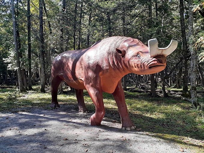 "Who knew extinction could be so colorful? These prehistoric pals are ready for their close-up, Mr. Spielberg." Photo credit: Mary Kryza
