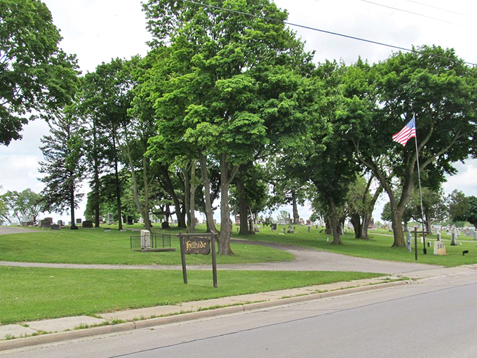 Rooted in history. That ancient tree has seen more comings and goings than a small-town diner. If only it could spill the tea!