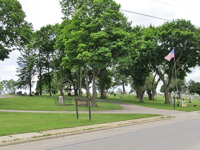 Rooted in history. That ancient tree has seen more comings and goings than a small-town diner. If only it could spill the tea!