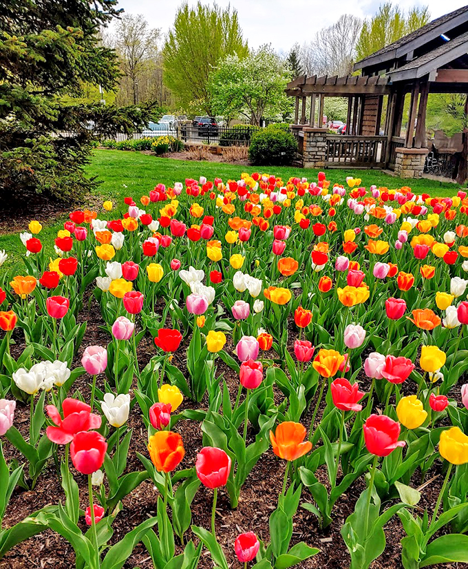 Floral fantasy meets wildlife soap opera. Watch chipmunks and squirrels stage the cutest turf war in this 123-acre botanical playground.
